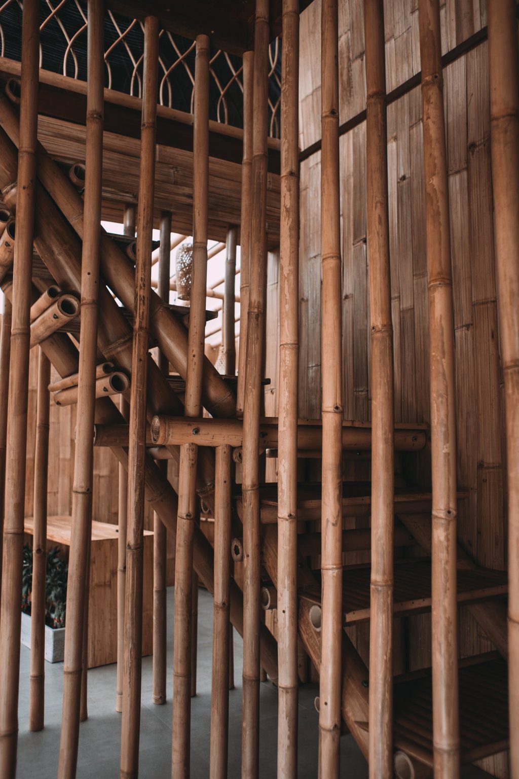 Bamboo in Architecture: Innovative Uses & Design Trends