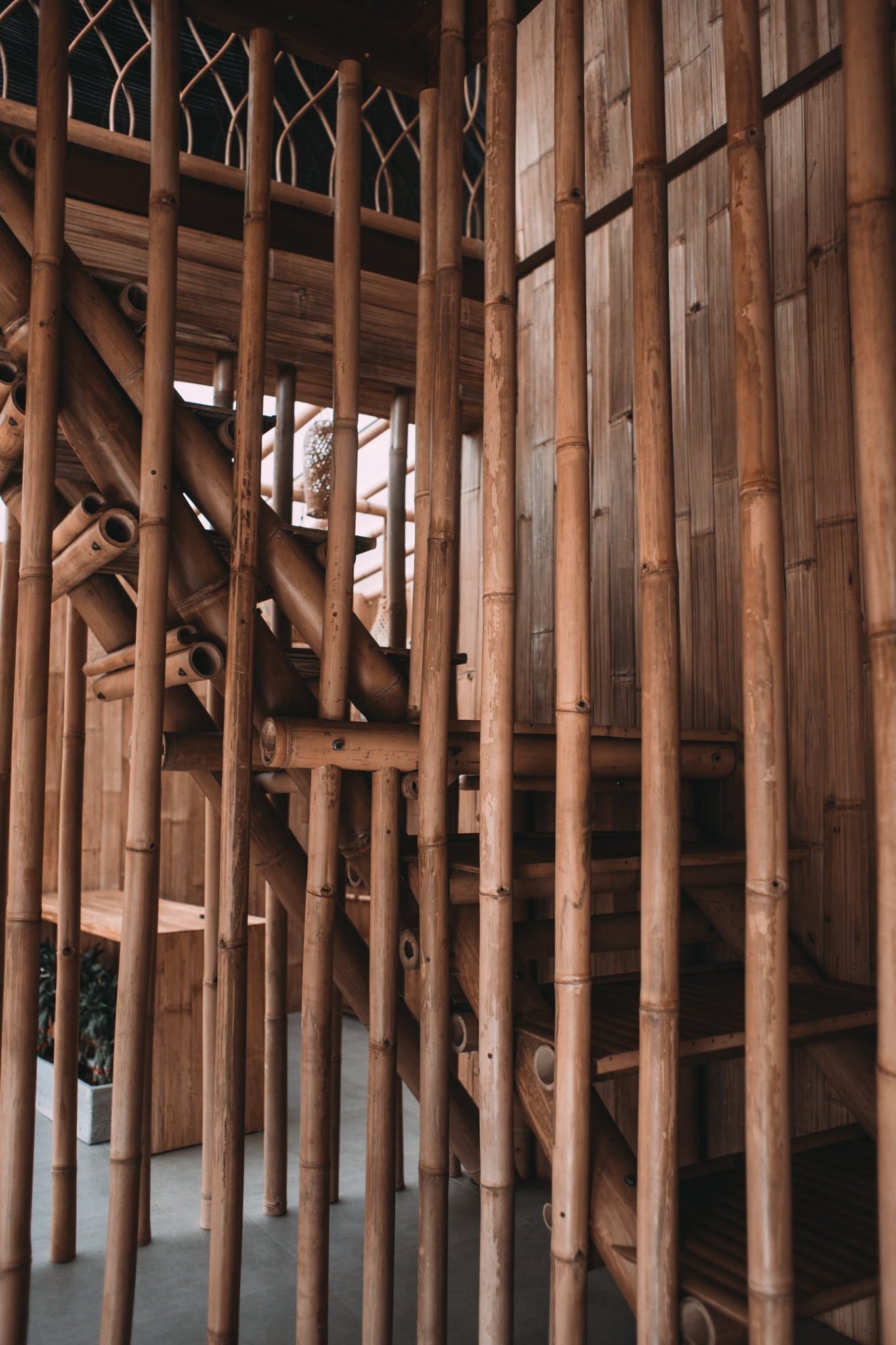 Bamboo in Architecture: Innovative Uses & Design Trends
