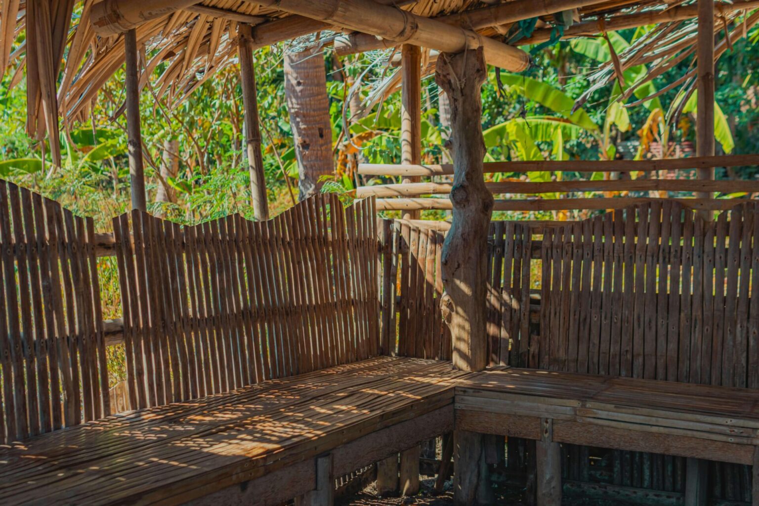 Top 10 Countries Leading The Bamboo Industry In 2025 - BambooSahiHai India